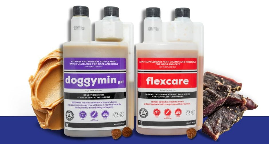 DoggyMin Info – Camelus