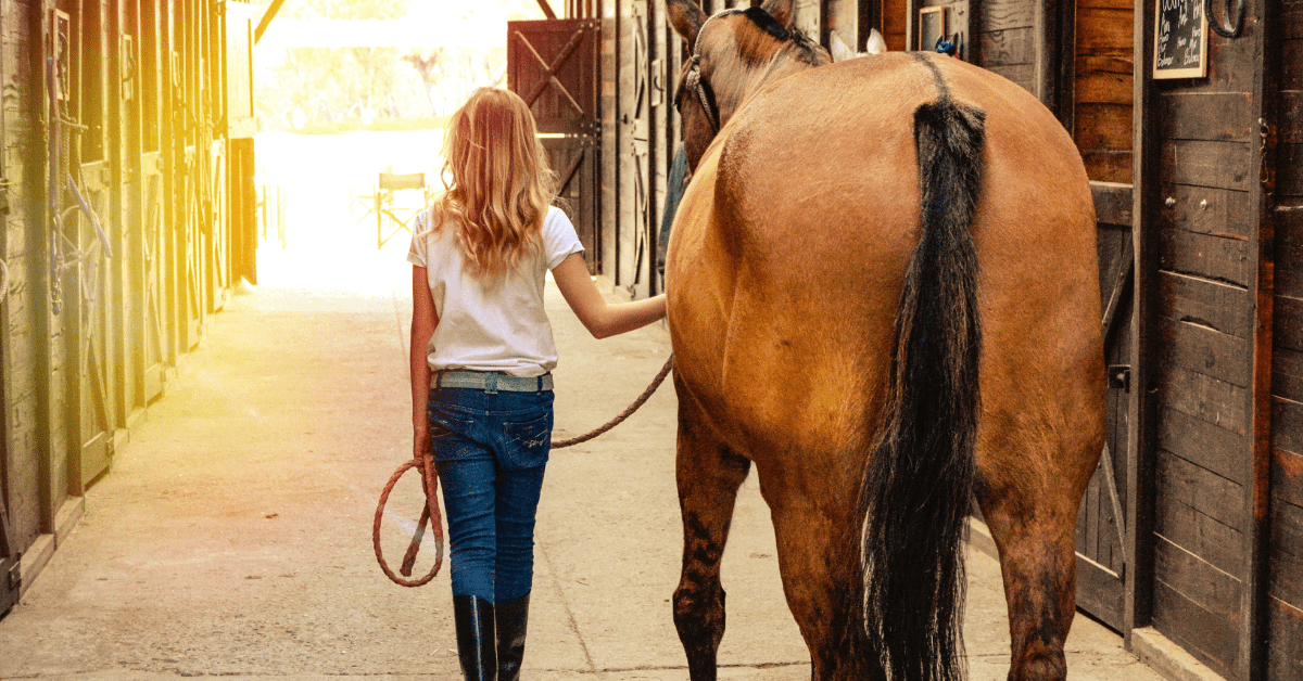 Equine Joint Health: When to Use Flexcare Equine – Camelus