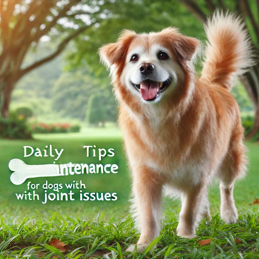 Daily Maintenance Tips for Dogs with Joint Issues – Camelus