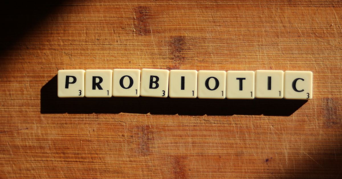 The Gut-Joint Axis: Can Probiotics Ease Arthritis in Dogs? – Camelus