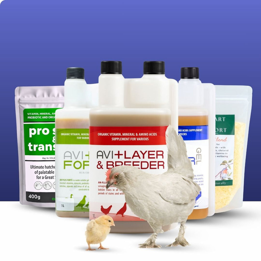 Chicken Supplements and Vitamins For Chickens | Camelus