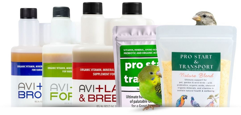 Bird Supplements | Natural Support for Healthy Birds – Camelus