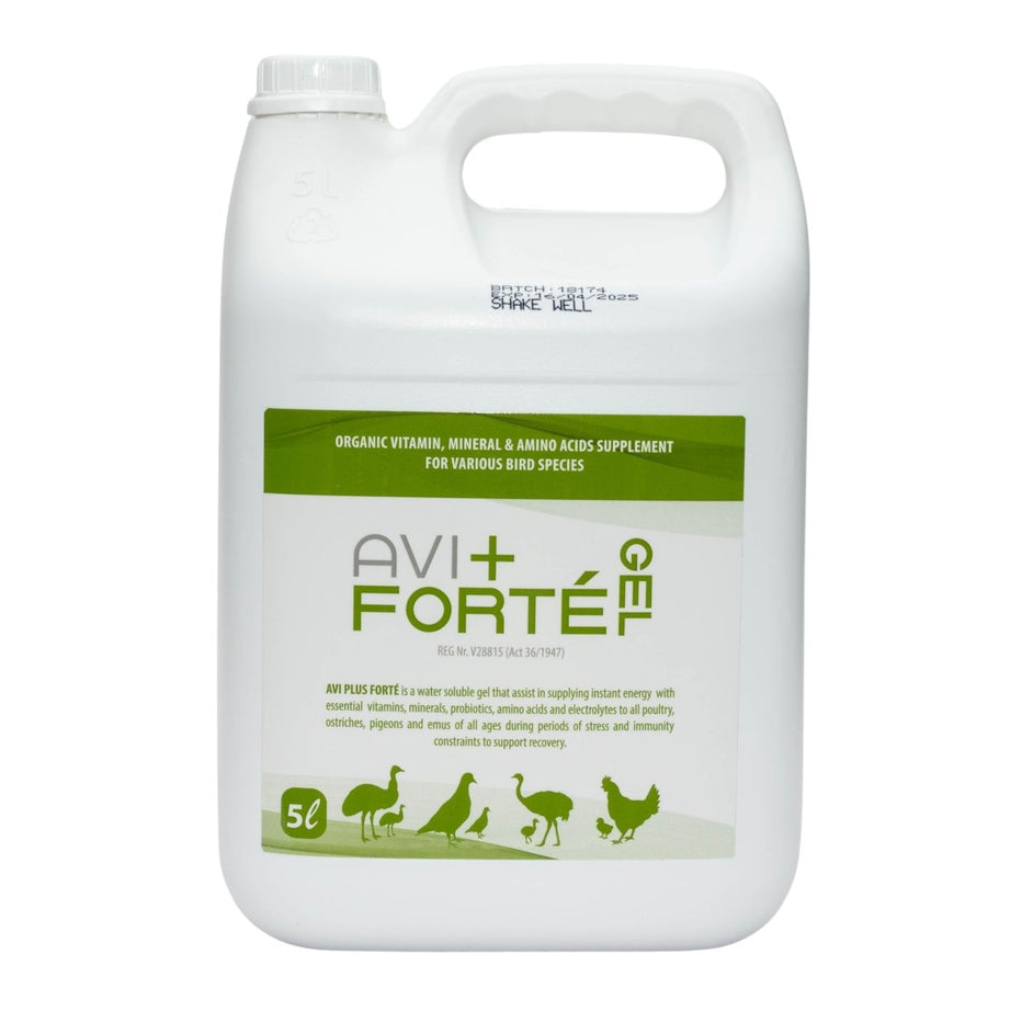Avi Forte Gel (Performance & Vitality for Poultry, Pigeons & Pet Birds ...