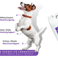 Pet Supplements and Farm Animal Supplements – Camelus