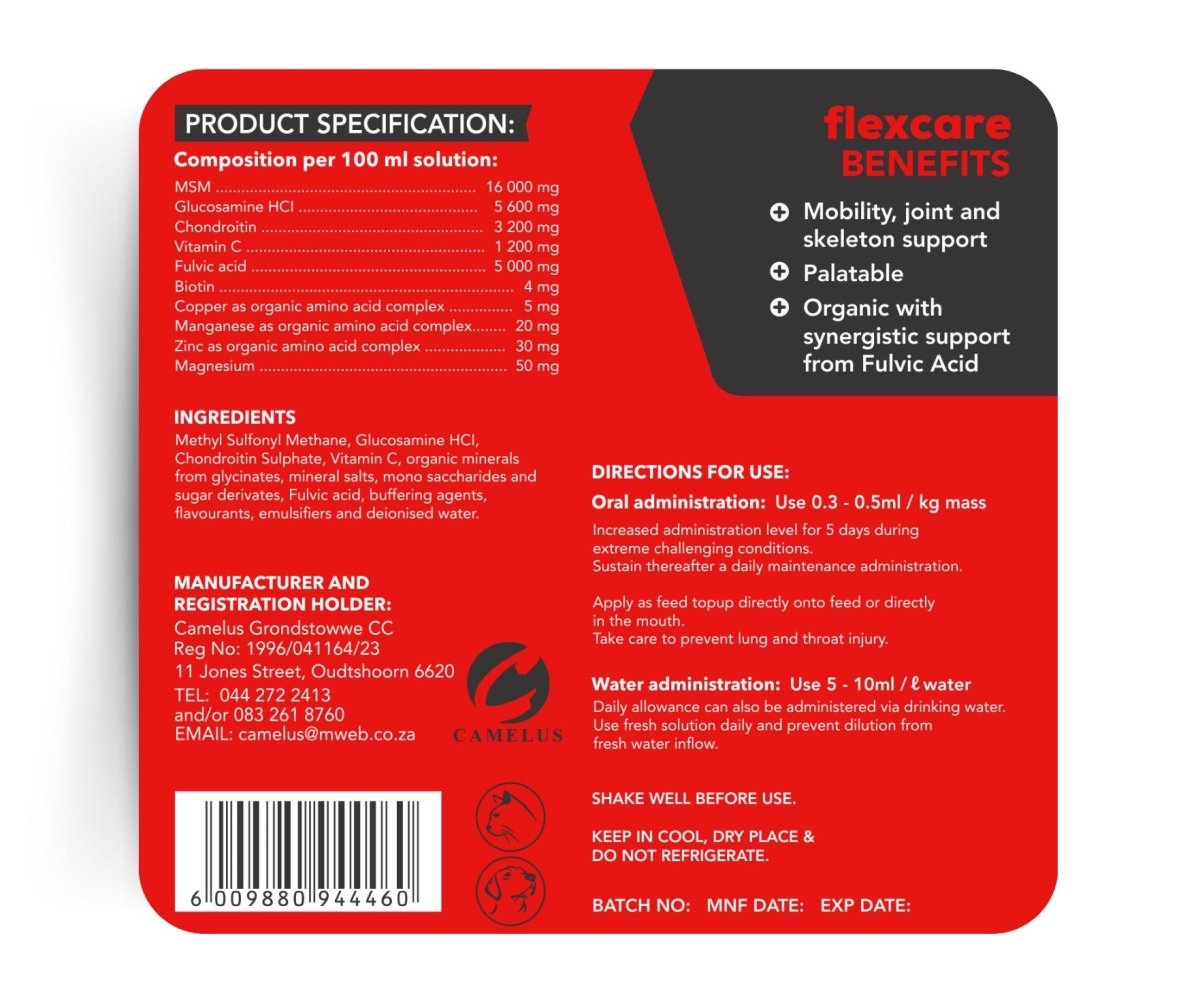 Best Joint Care for Dogs in South Africa | FlexCare – Camelus