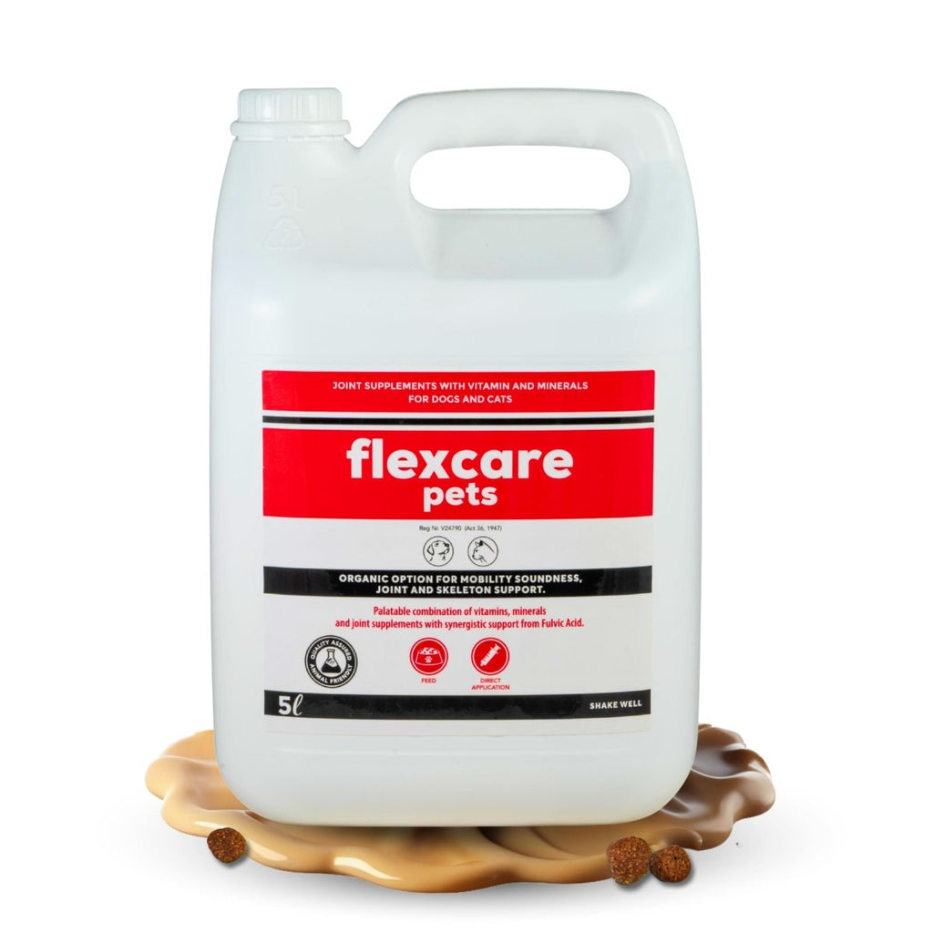 FlexCare (Joint & Movement Support For Dogs) – Camelus