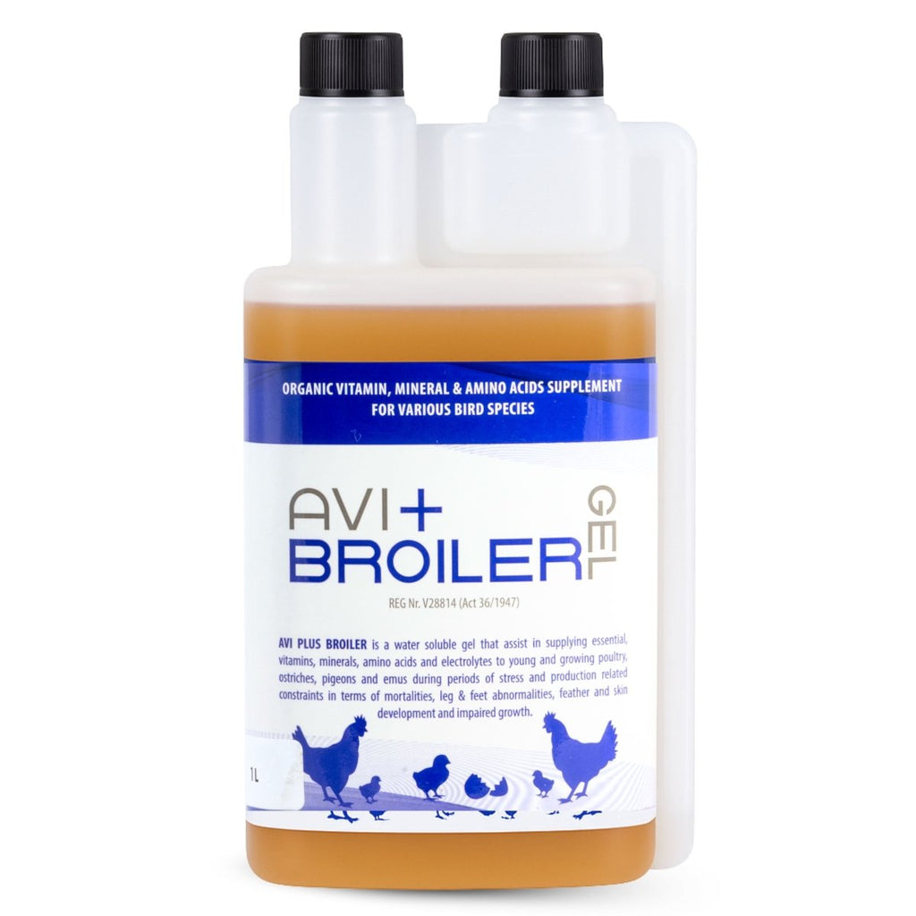 Avi Plus Broiler for Sale Online – Camelus