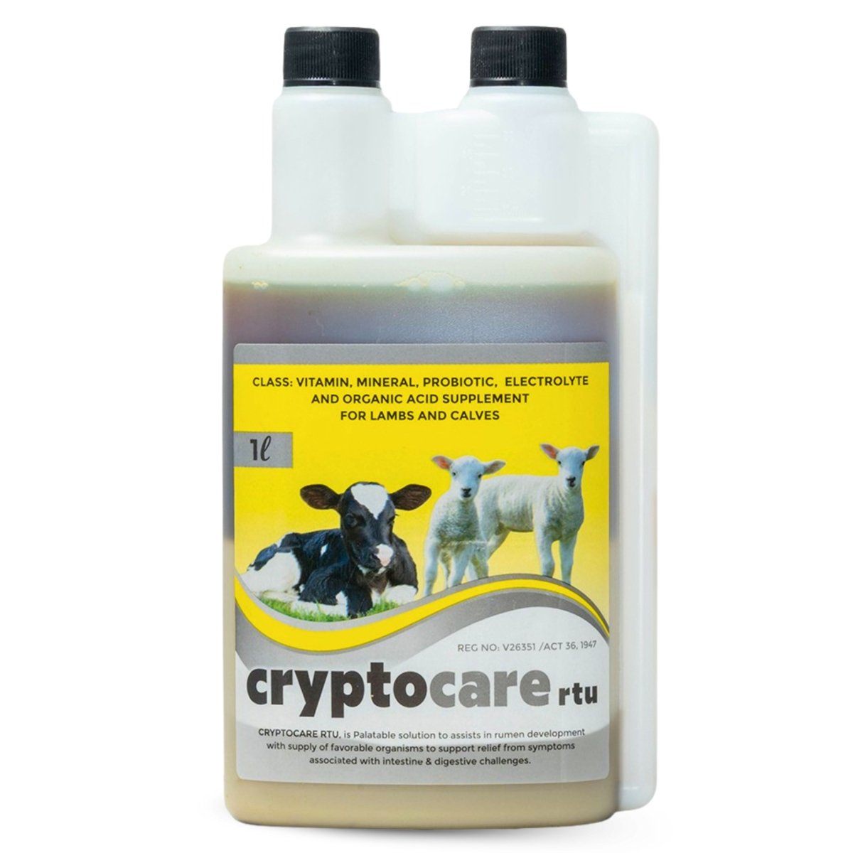Cattle Supplements and Vitamins for Cattle | Camelus