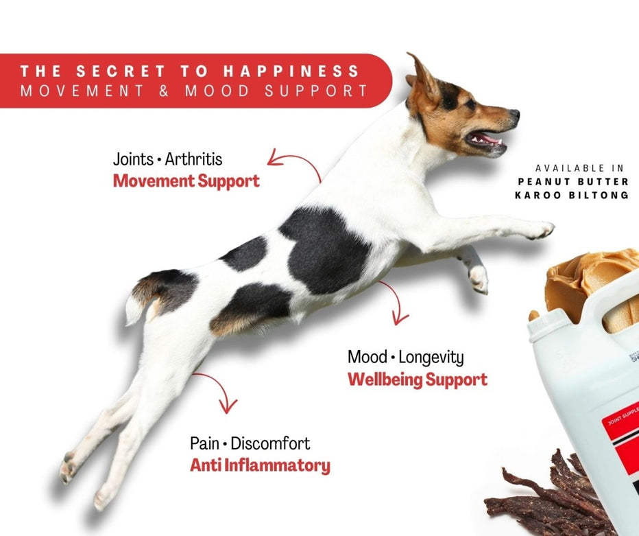 FlexCare (Joint & Movement Support For Dogs) – Camelus