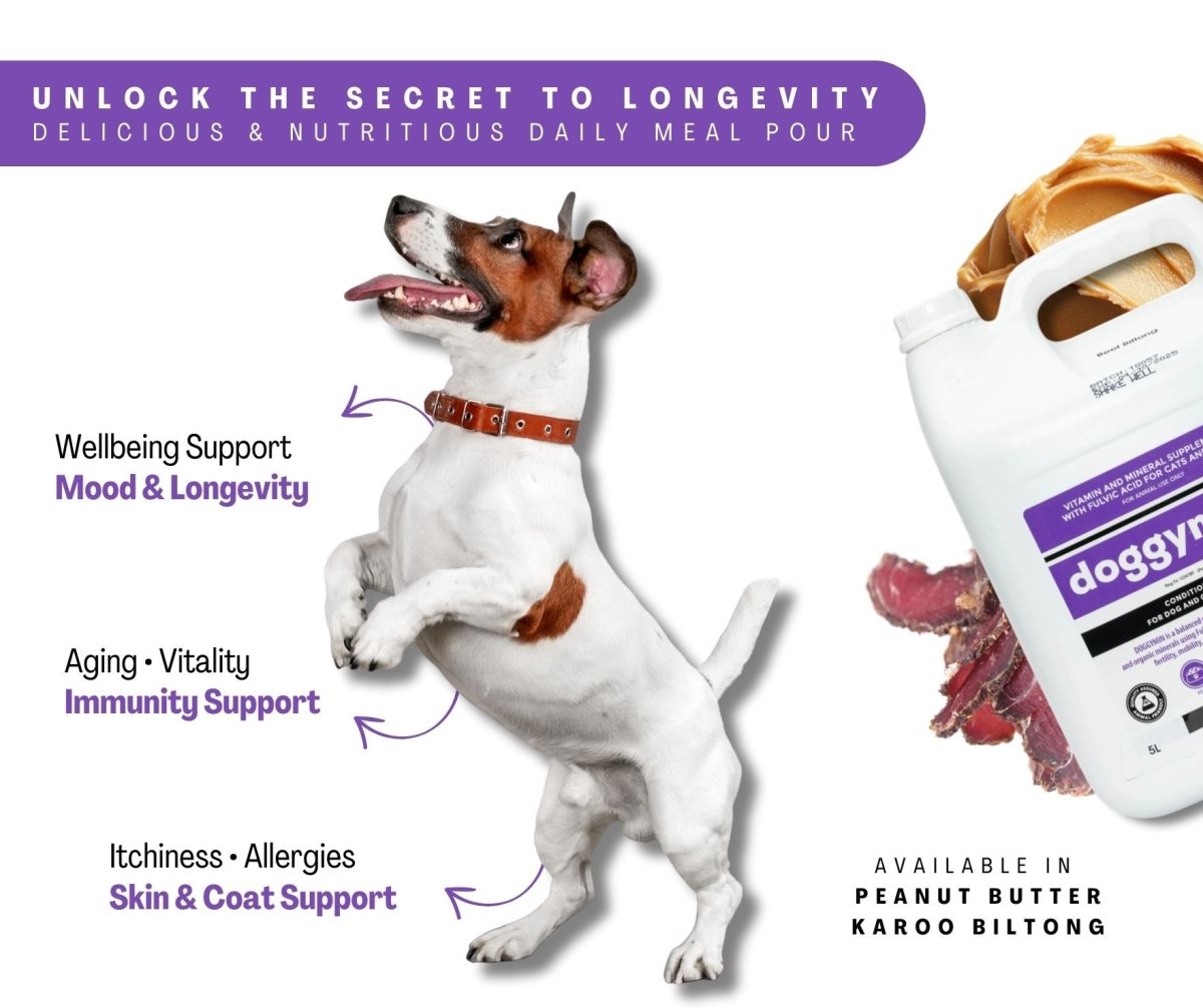 Doggymin (Skin & Immunity Support For Dogs) – Camelus