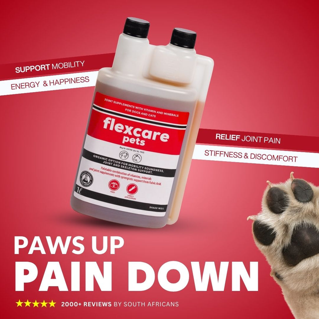 FlexCare (Joint & Movement Support For Dogs) – Camelus
