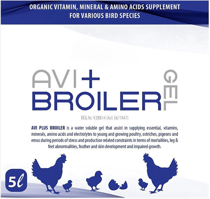 Chicken Supplements and Vitamins For Chickens | Camelus
