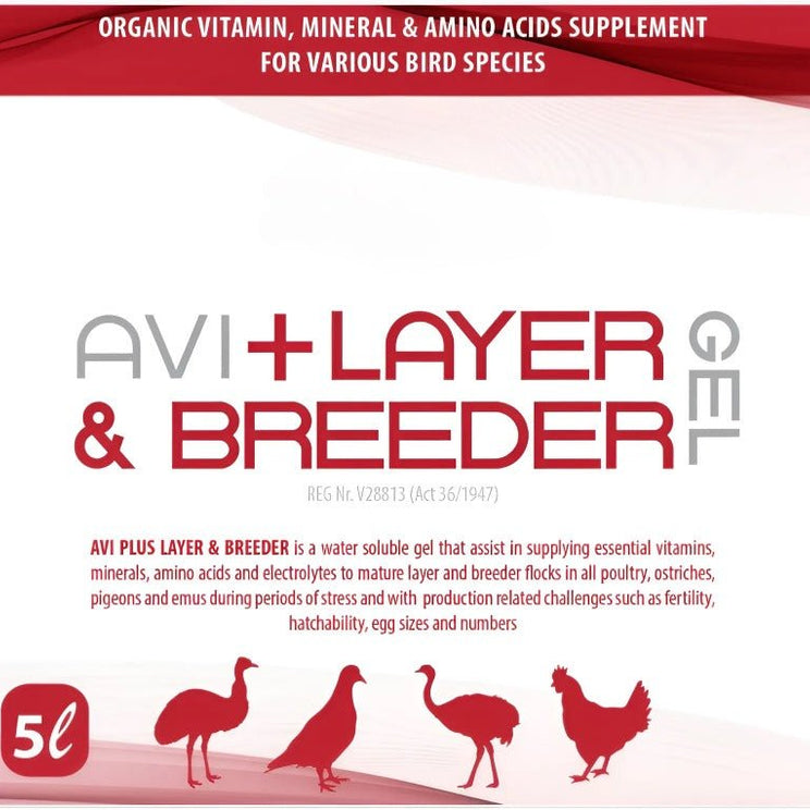 Avi Plus Layer & Breeder for Sale Online – Camelus