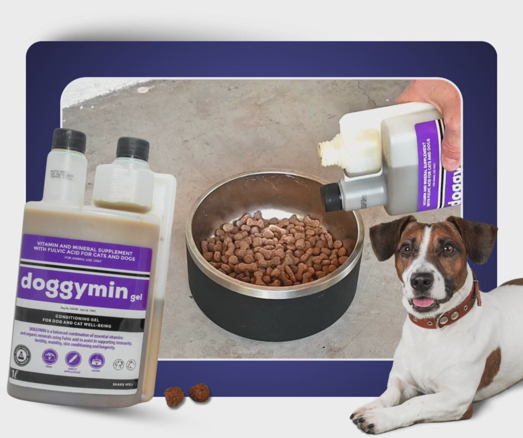 Doggymin (Skin & Immunity Support For Dogs) – Camelus