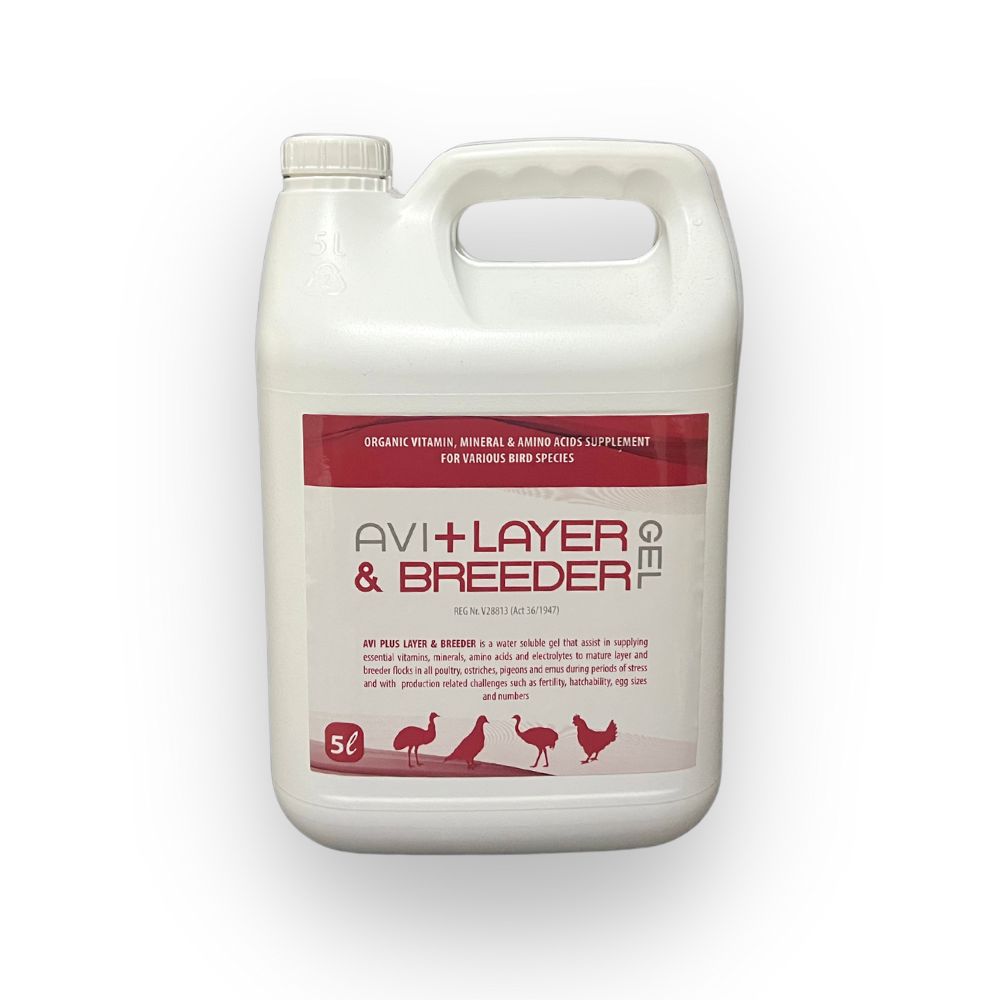 Avi Plus Layer & Breeder for Sale Online – Camelus