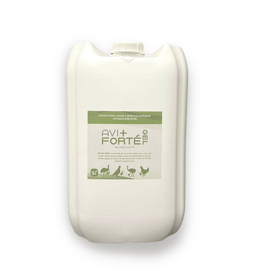 Avi Forte Gel (Performance & Vitality for Poultry, Pigeons & Pet Birds ...